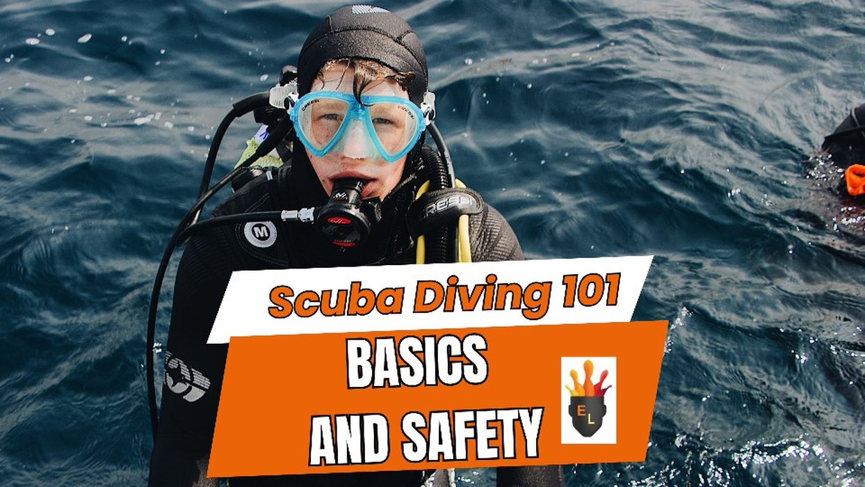 Scuba Diving 101: Planning the Dive Underwater | Buy Educational ...