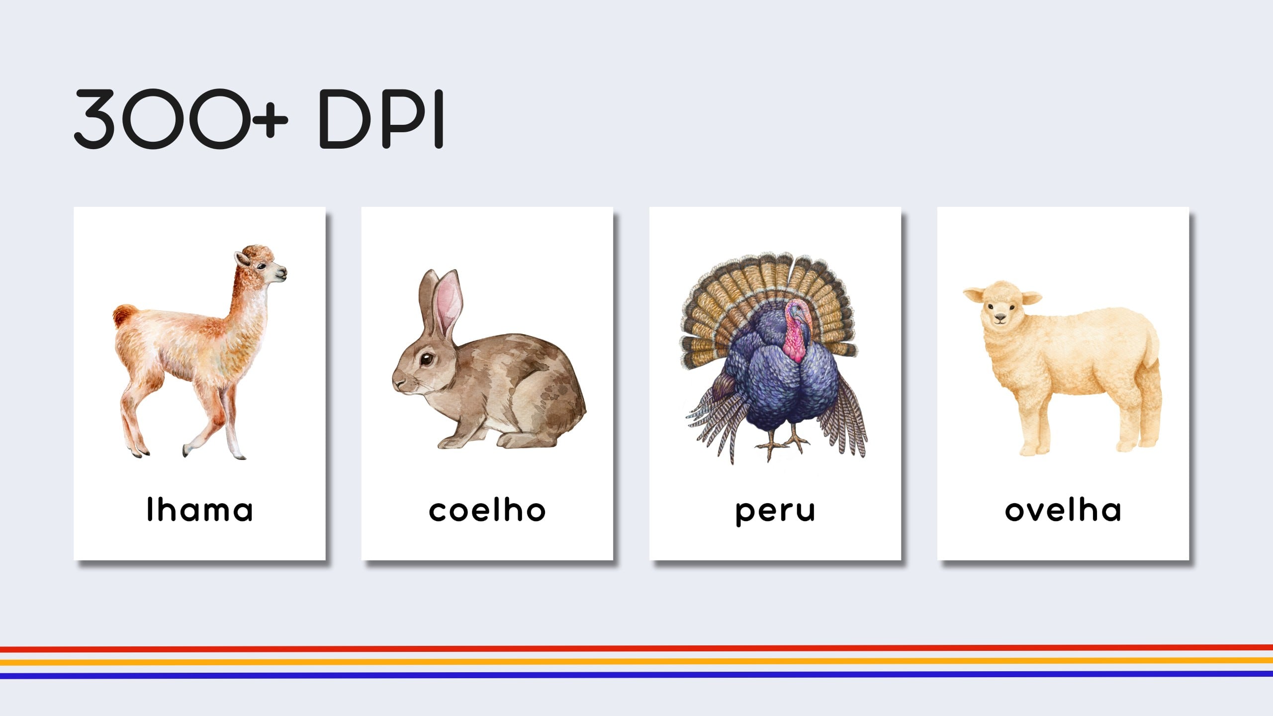 Portuguese Farm Animals Flashcards | Buy Educational Products | Skillshare