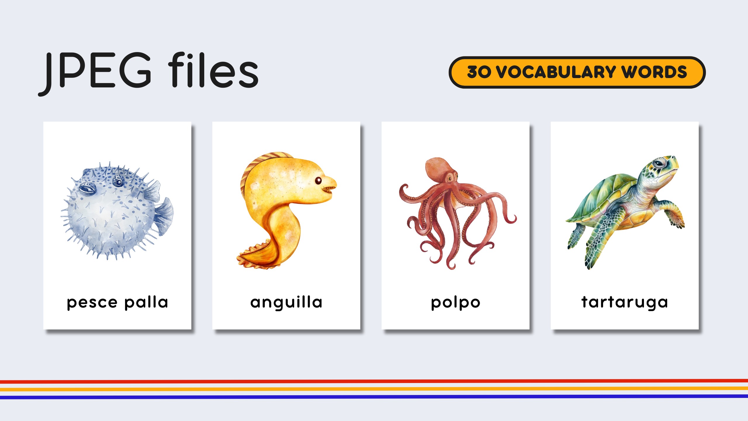 Italian Marine Life Flashcards | Buy Educational Products | Skillshare