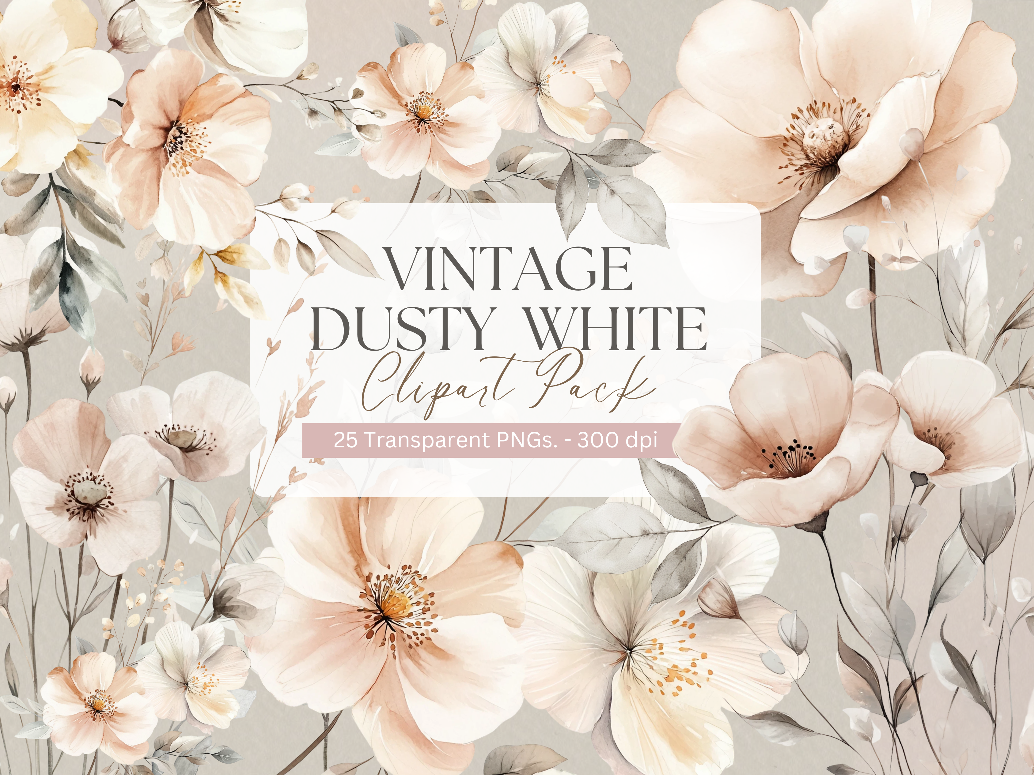 25 Watercolor Dusty White Florals Clipart Pack! | Buy Art & Design ...